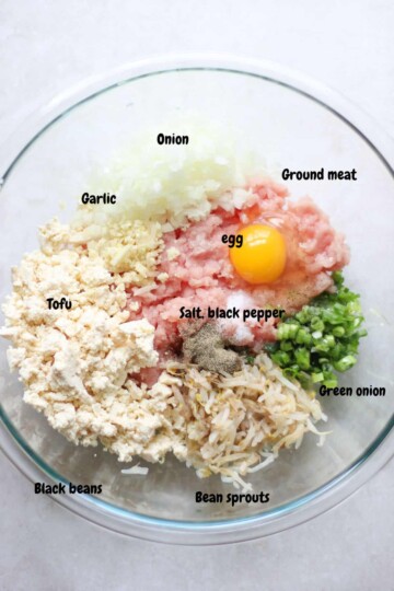 Favorite Mandu (Korean Dumplings) - MJ and Hungryman