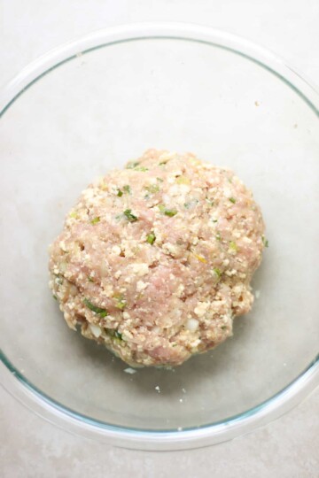 Favorite Mandu (Korean Dumplings) - MJ and Hungryman