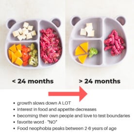 The Ultimate Guide to Toddler Portion Sizes - MJ and Hungryman