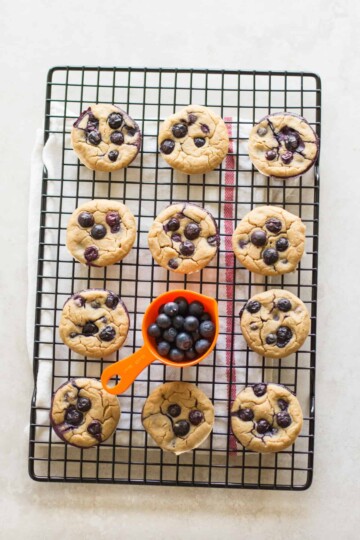 Healthy Blueberry Yogurt Muffins (Baby and Toddler Friendly) - MJ and ...