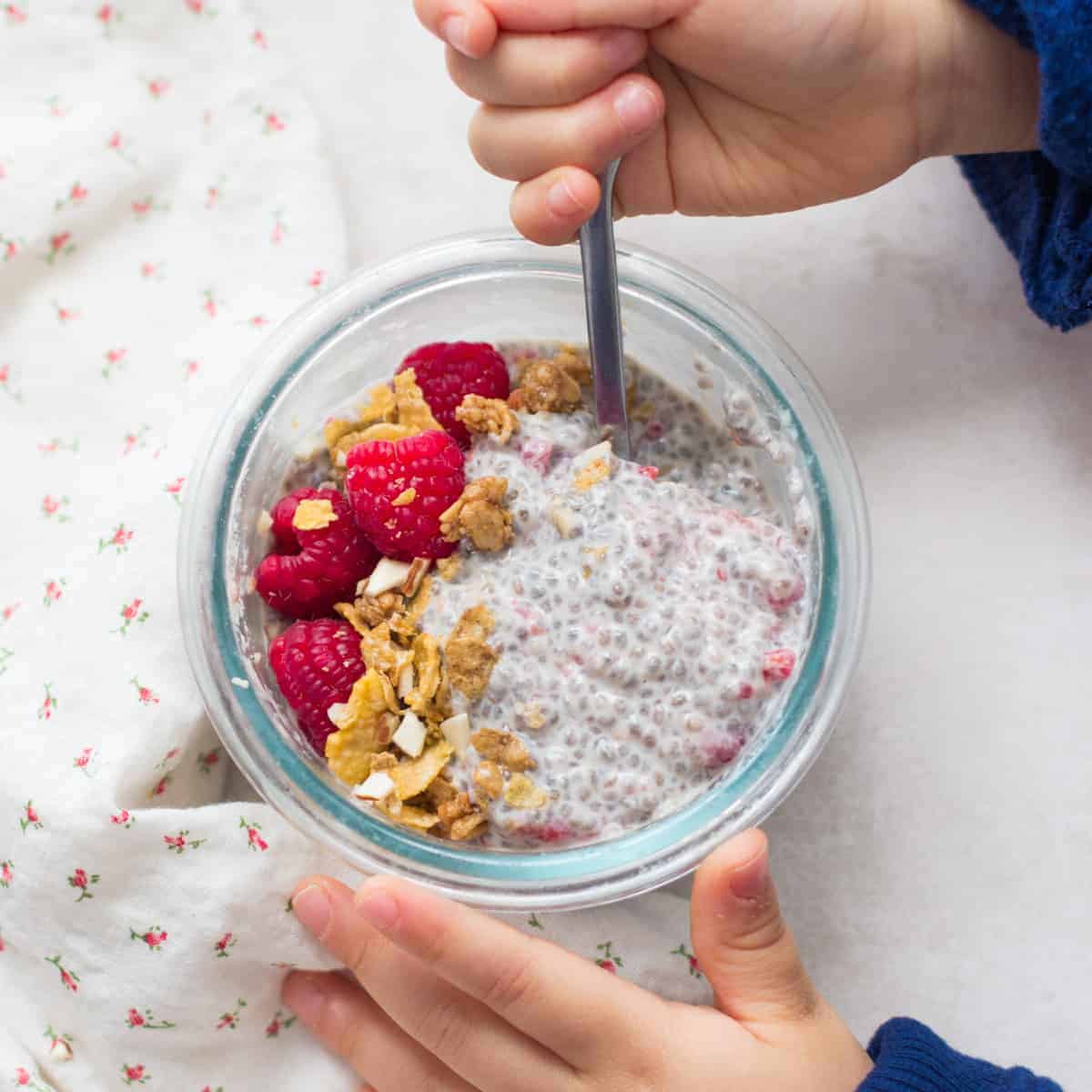 Easy Chia Seed Pudding - MJ and Hungryman