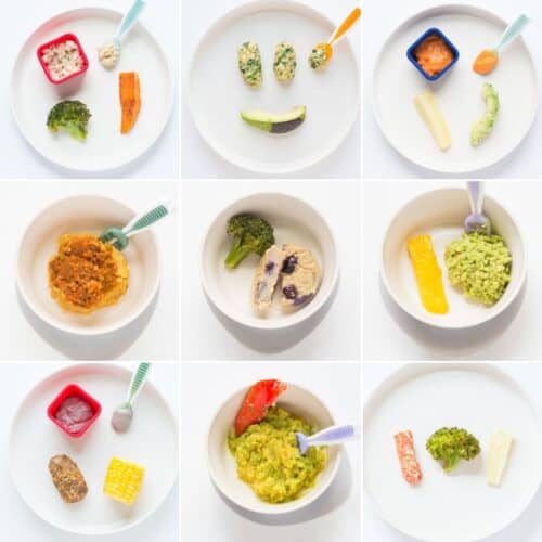 Baby Led Feeding Journey Program - MJ and Hungryman