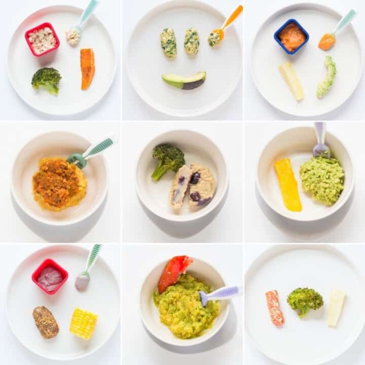 Baby Led Feeding Journey Program - MJ and Hungryman