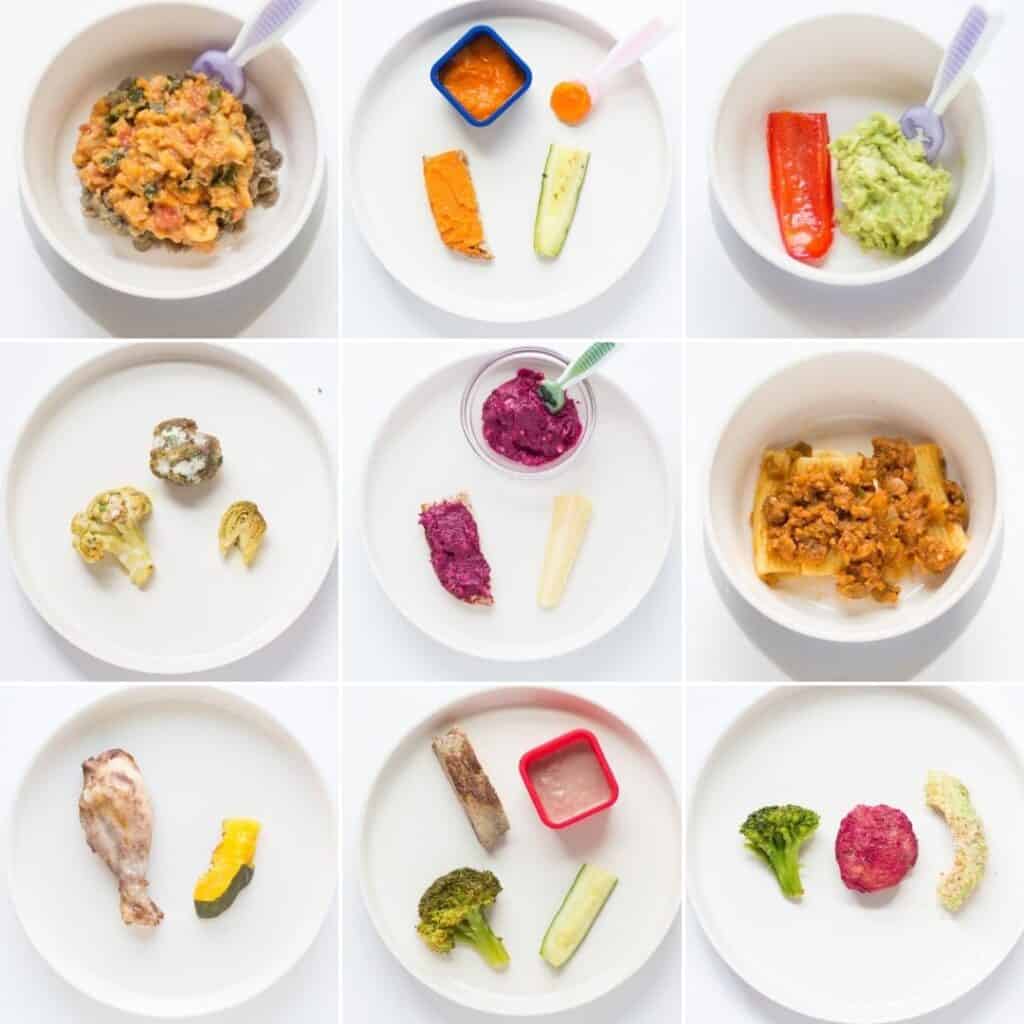 Baby Led Feeding Journey Program - MJ and Hungryman