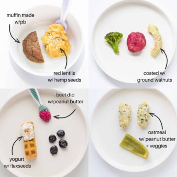 The Ultimate Guide to Nuts for Babies (and Seeds) - MJ and Hungryman