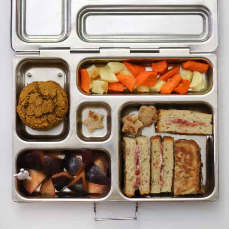 Cold School Lunch Ideas (Quick and Healthy) - MJ and Hungryman