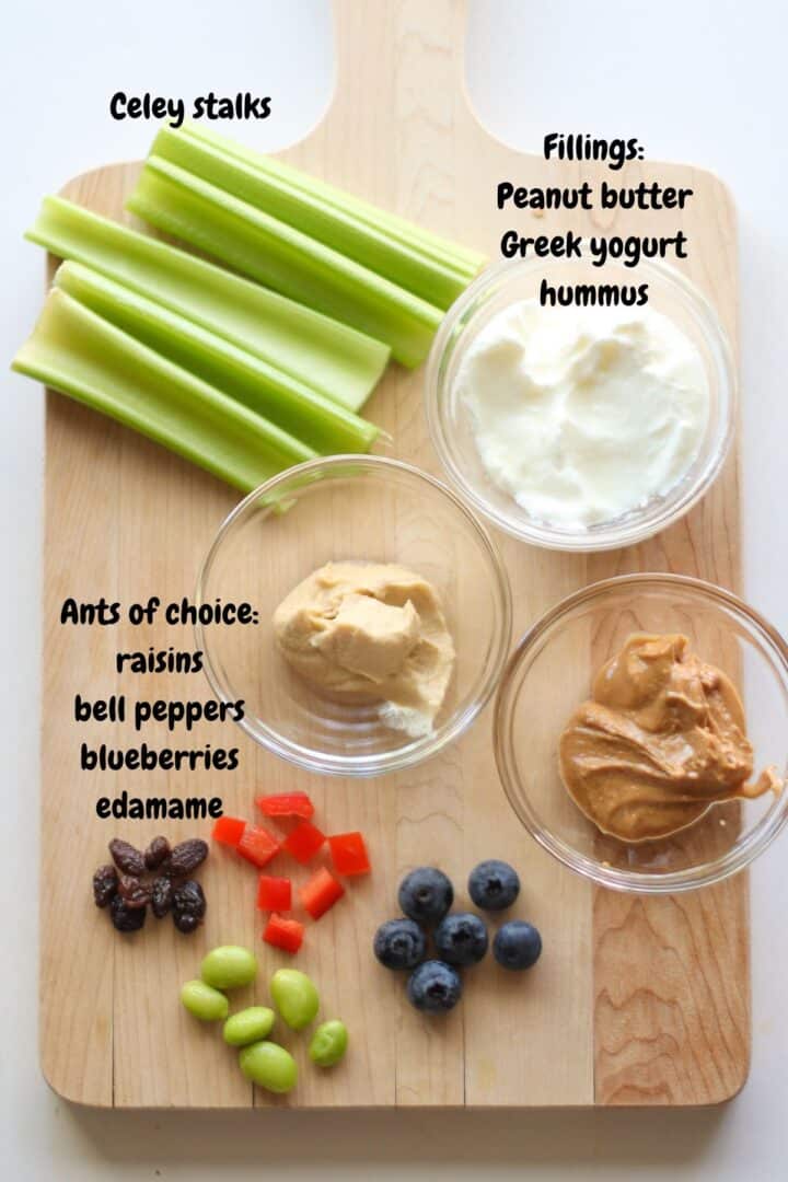 Ants on a Log - MJ and Hungryman