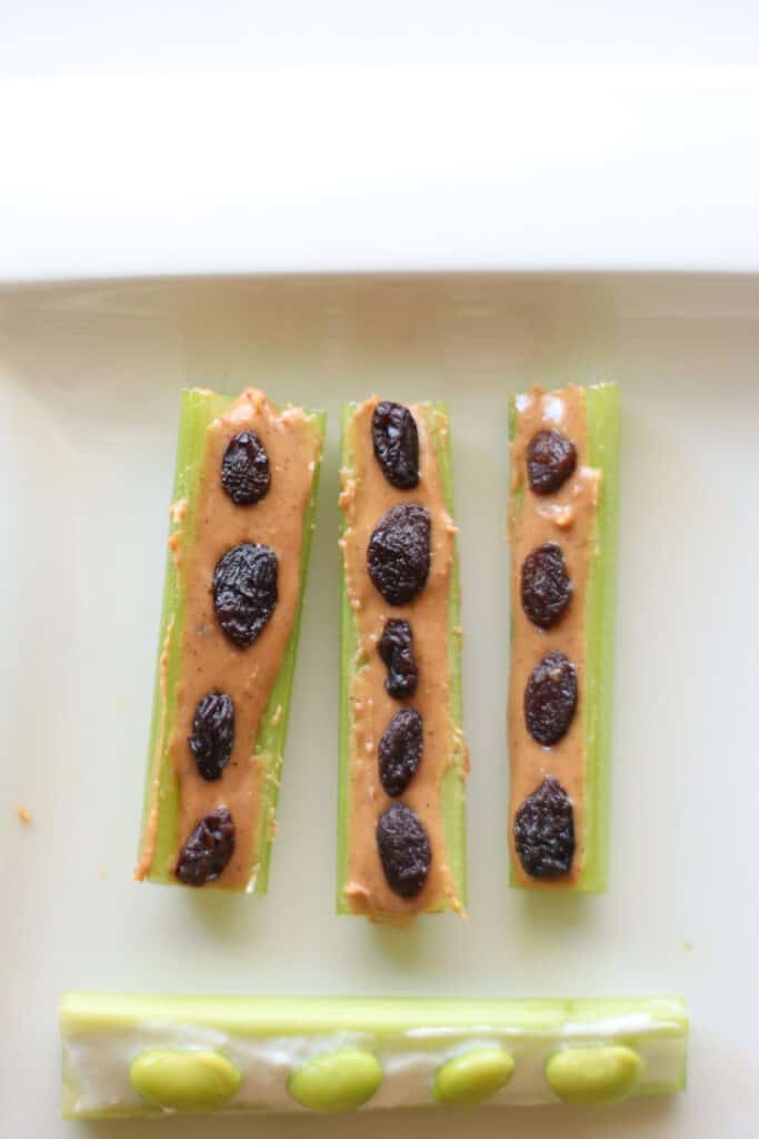 Ants on a Log - MJ and Hungryman