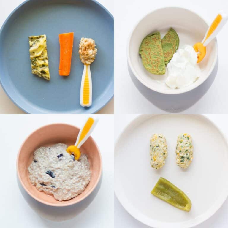 Top Foods for 6 Month Old Baby (with Recipes and Meal Plan) - MJ and ...
