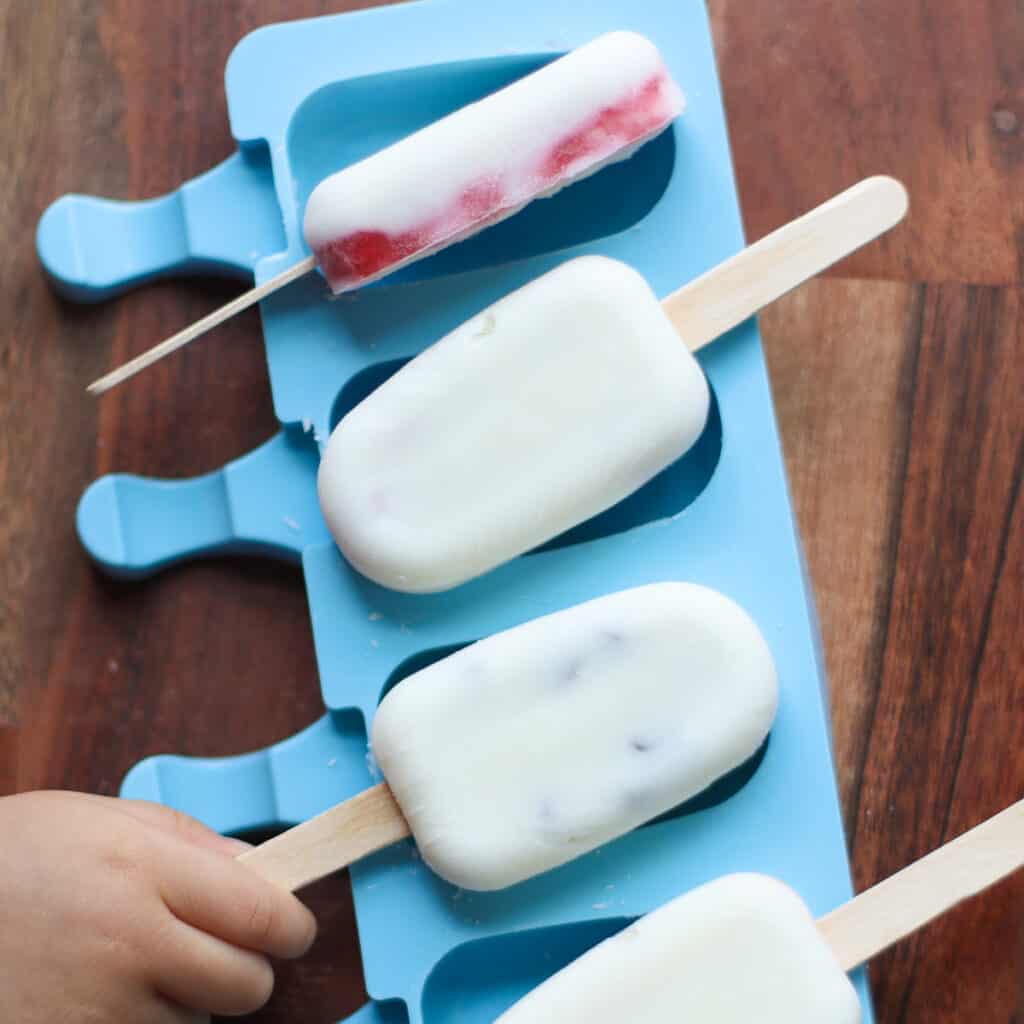 Frozen Yogurt Bars - MJ and Hungryman