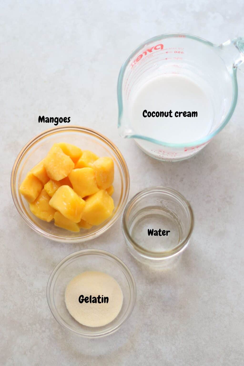 Coconut Mango Pudding - MJ and Hungryman
