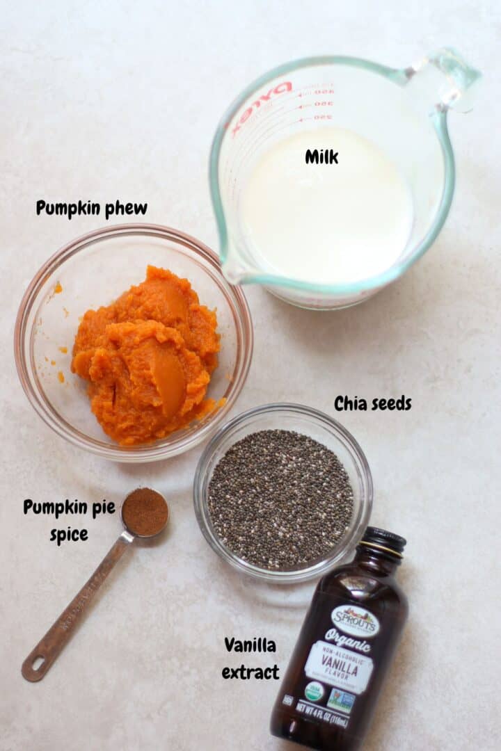 Easy Pumpkin Chia Pudding - MJ and Hungryman