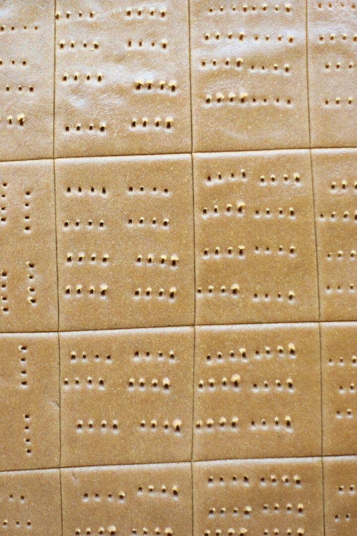 Easy Homemade Graham Crackers Recipe - MJ and Hungryman