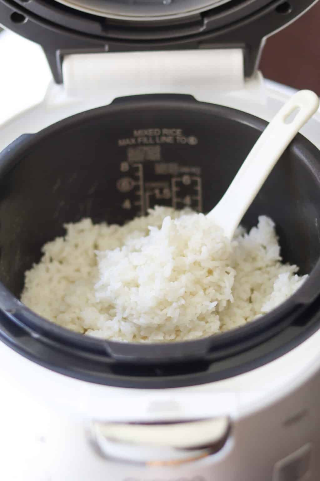 Easy Rice Burger - MJ and Hungryman