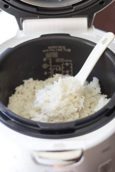 Easy Rice Burger - MJ and Hungryman