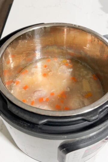 Instant Pot Chicken Rice Porridge (Dak Juk) - MJ and Hungryman